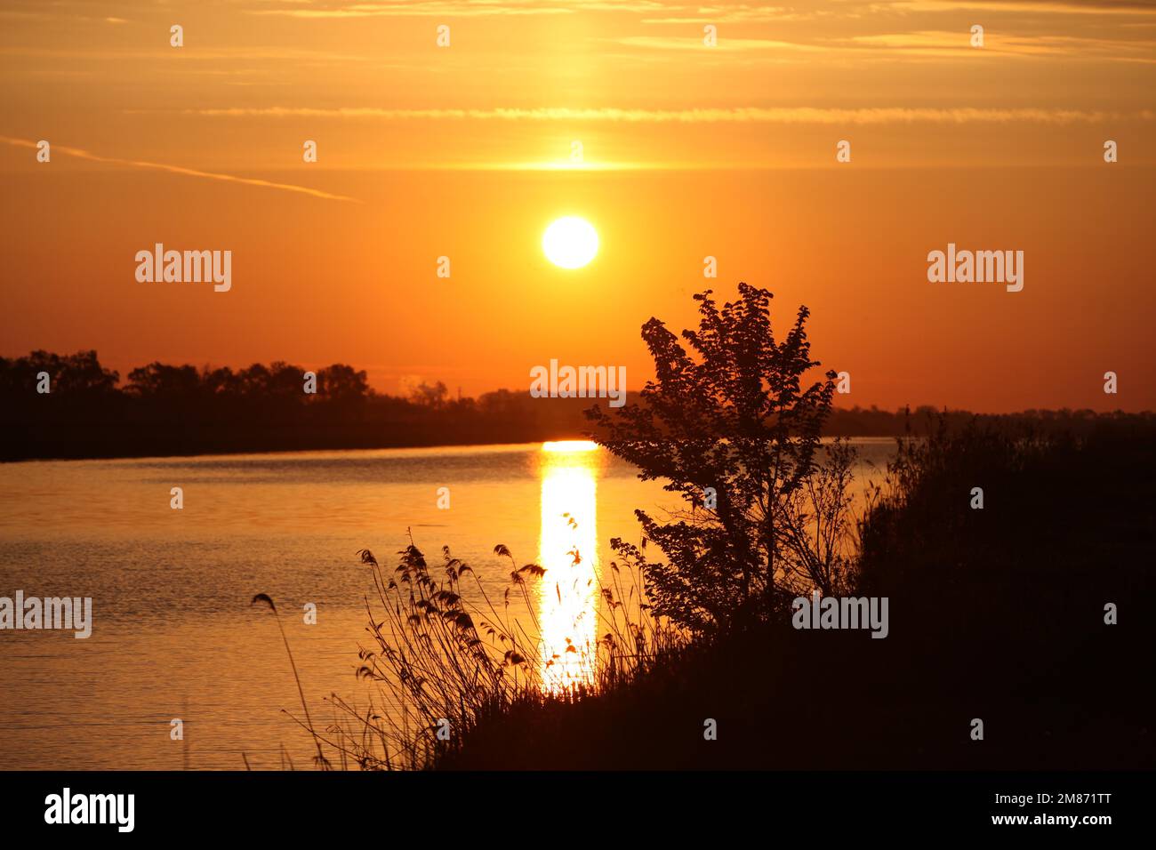 A landscape view of the lake surrounded by trees at sunset Stock Photo ...
