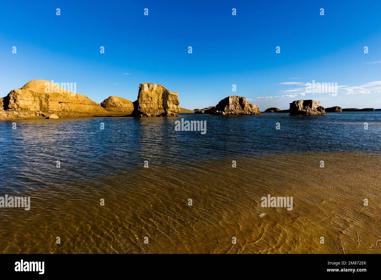 Aquatic yadan hi-res stock photography and images - Alamy