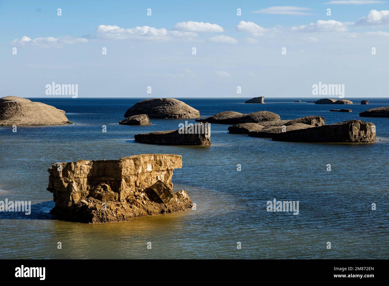 Aquatic yadan hi-res stock photography and images - Alamy