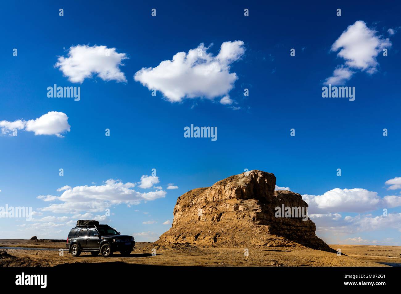 Aquatic yadan hi-res stock photography and images - Alamy