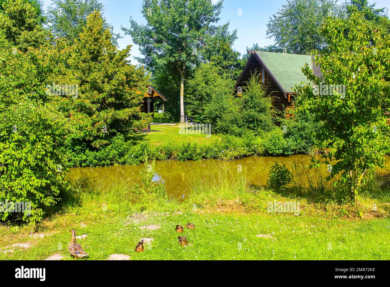 Vacation home wooden house in the forest by the lake river in Hemmoor ...