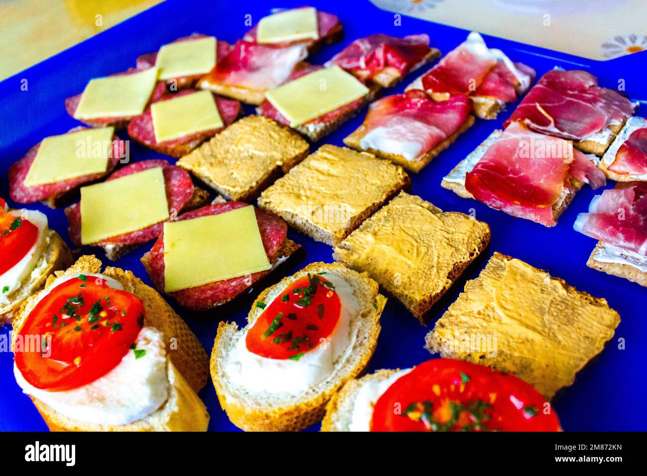 Small snacks finger food with salmon cheese salami ham tomato and herbs ...