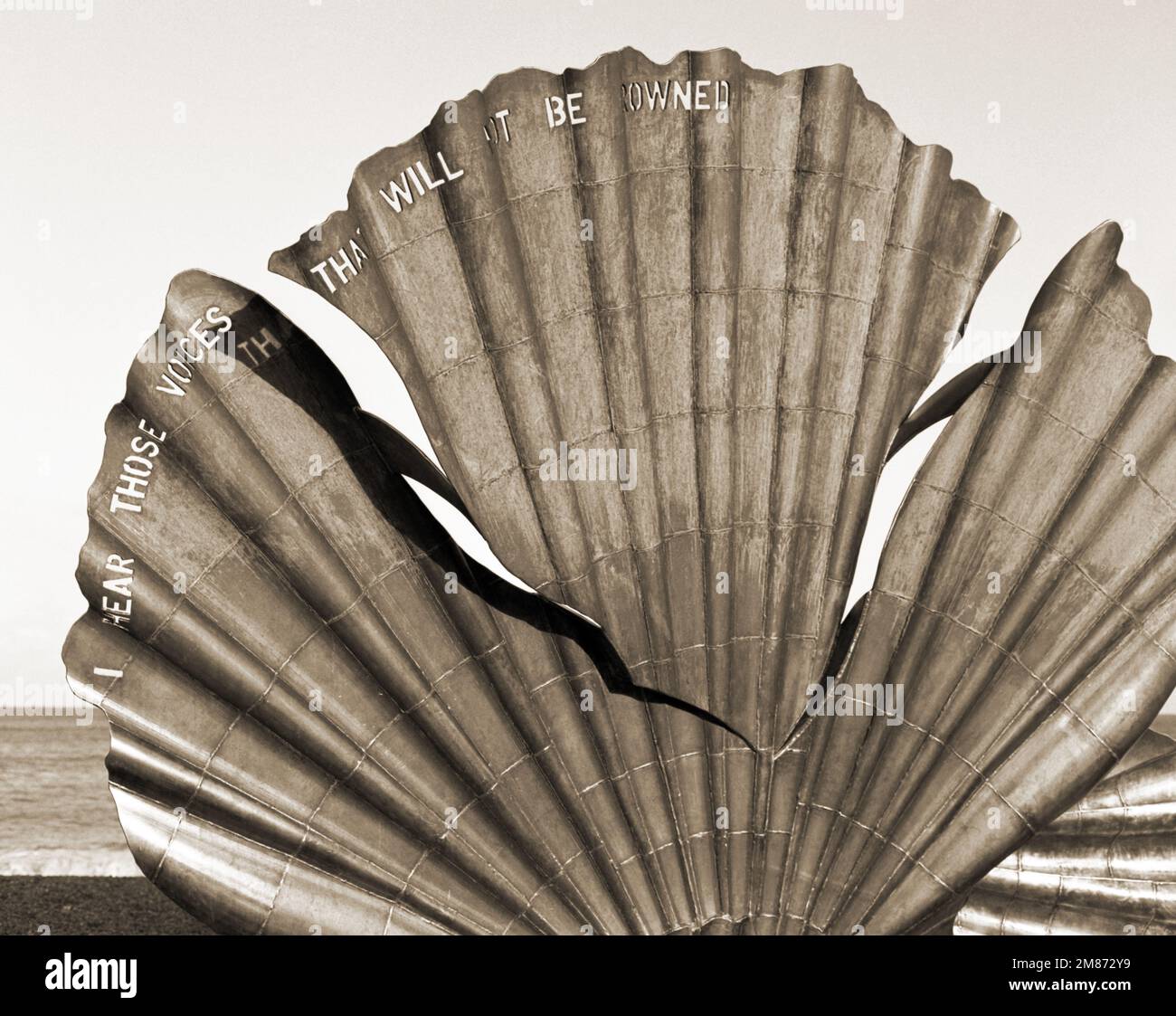 Scallop seat hi-res stock photography and images - Alamy