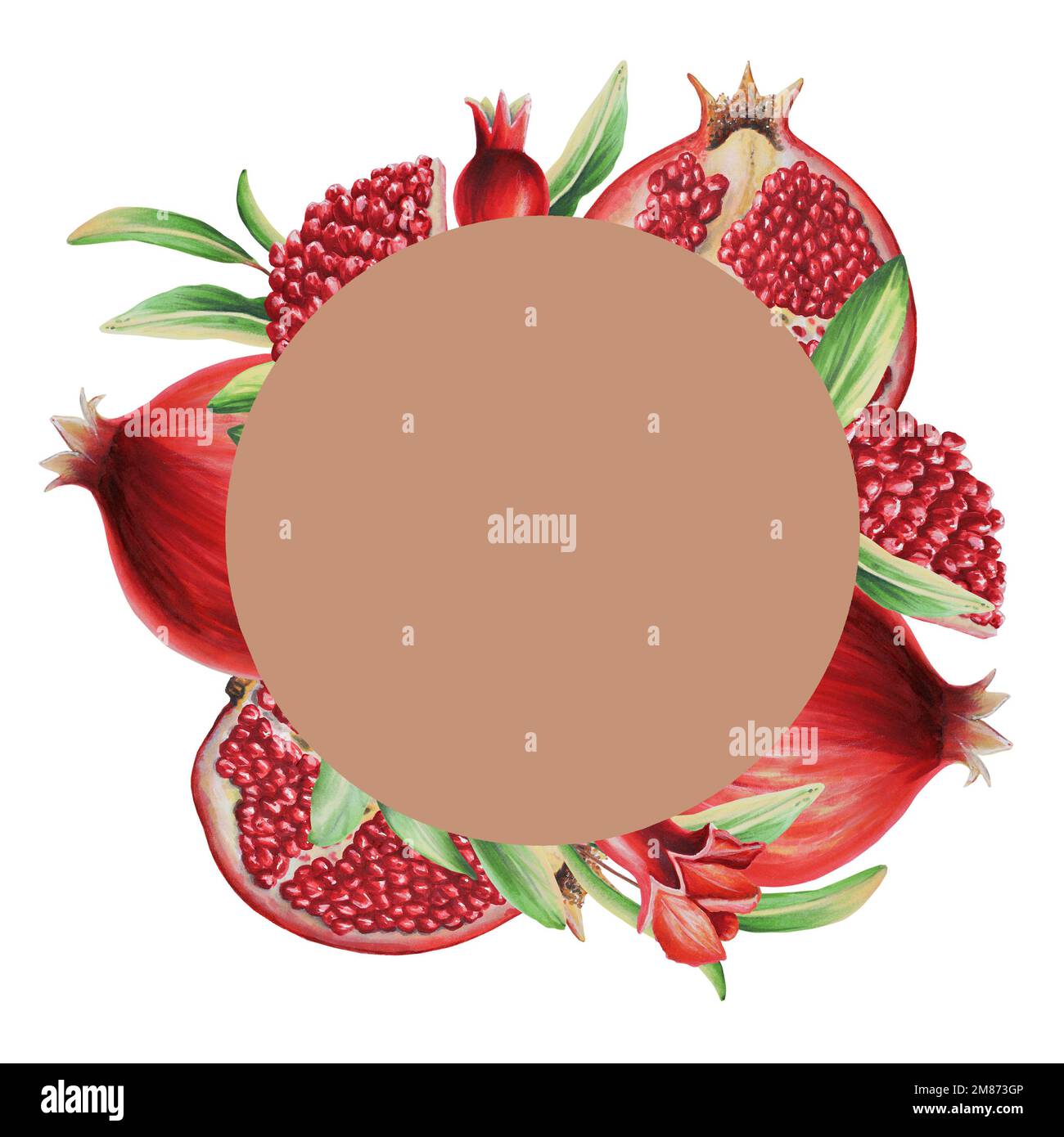 Watercolor pomegranate frame on a branch. Ripe slice, flowers and seeds ...