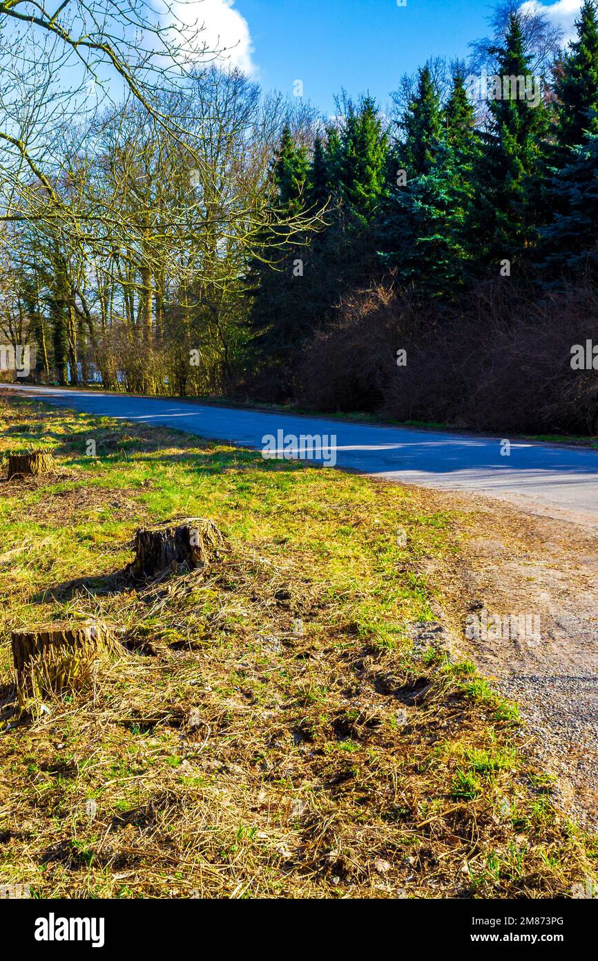 North German agricultural field wind turbines and nature landscape ...