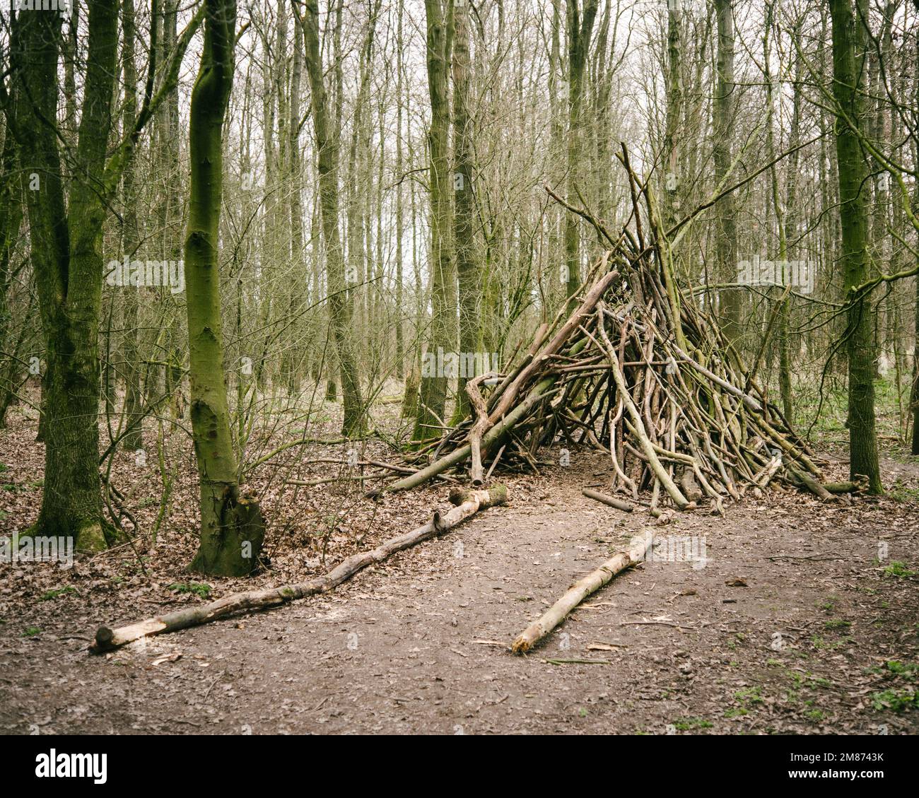 Teepee of sticks hi-res stock photography and images - Alamy