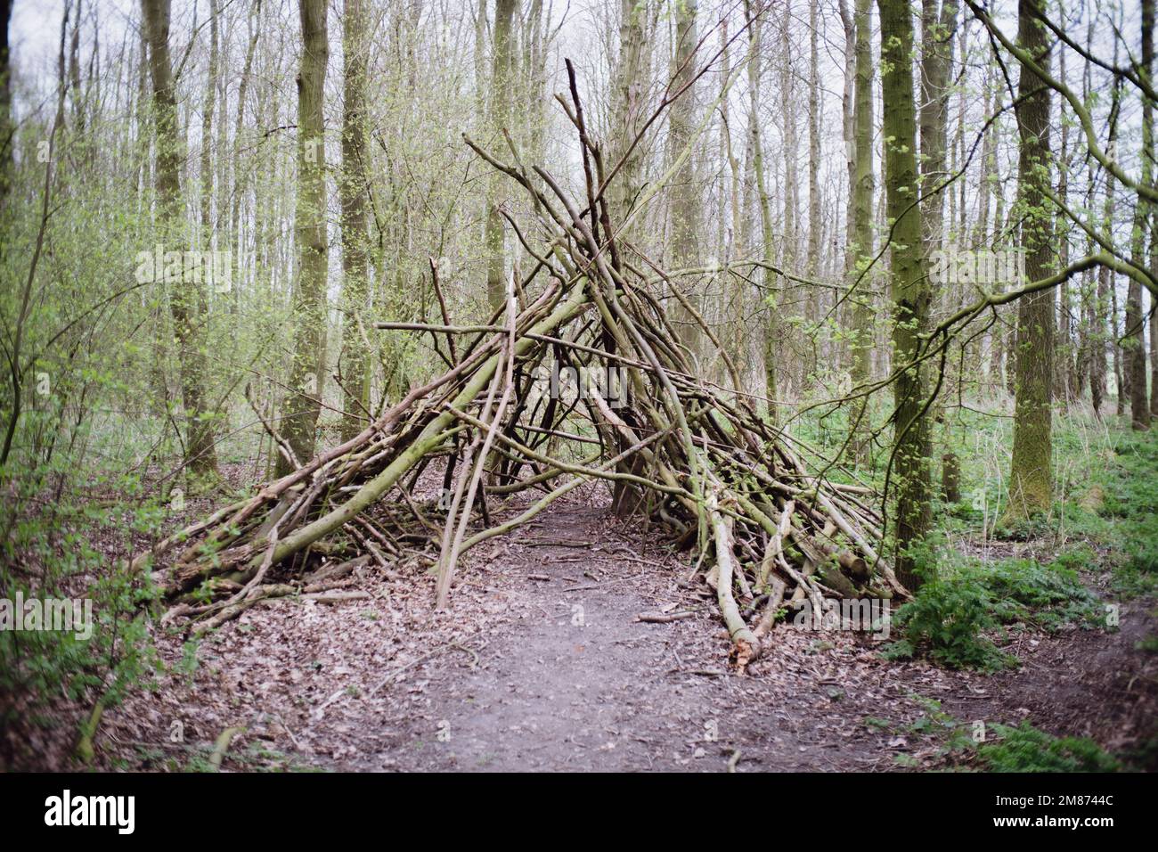 Teepee of sticks hi-res stock photography and images - Alamy