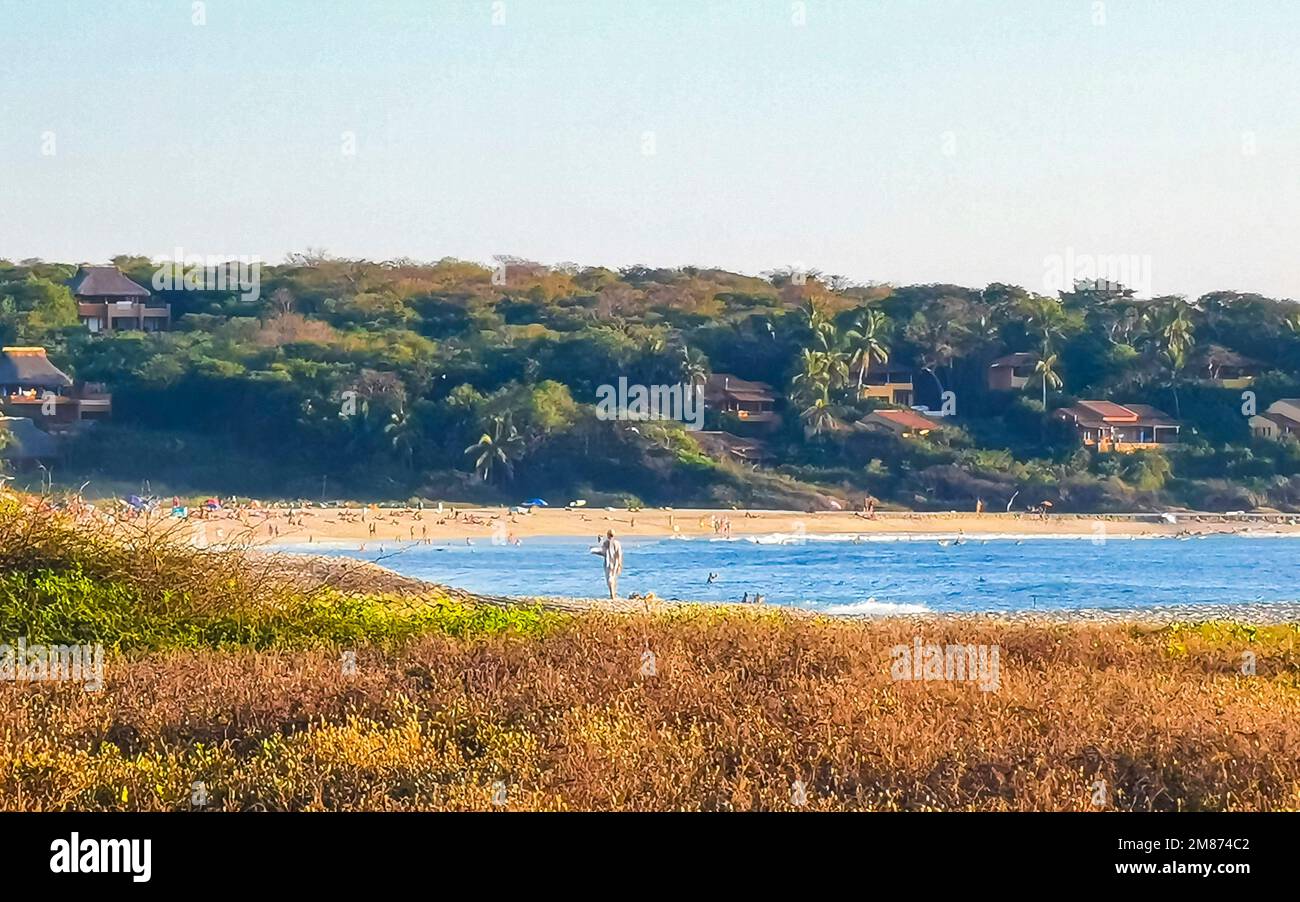 nature cliffs rocks meadow beach waves and palm trees in La Punta ...