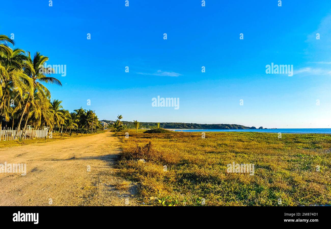 nature cliffs rocks meadow beach waves and palm trees in La Punta ...