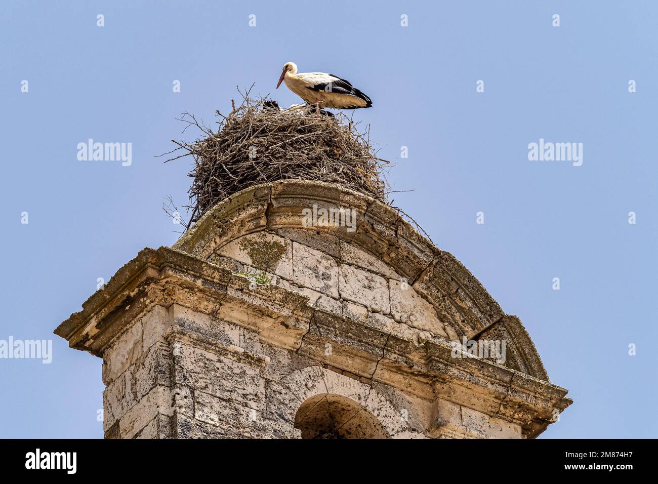 Storks on the Church of Santa Maria in Maderuelo in the Segovia ...