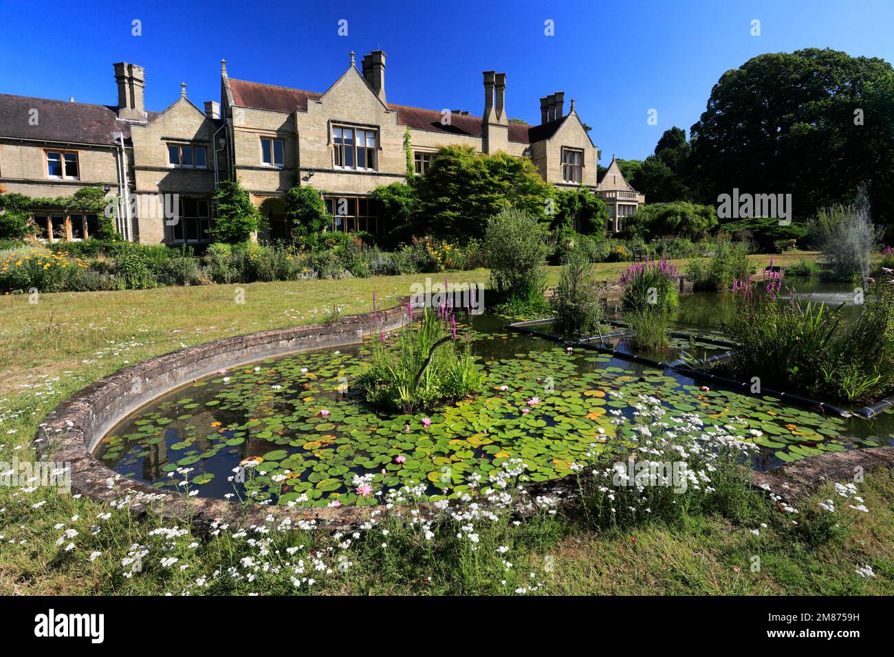 The RSPB Lodge nature reserve, Sandy Heath, Sandy town, Bedfordshire ...