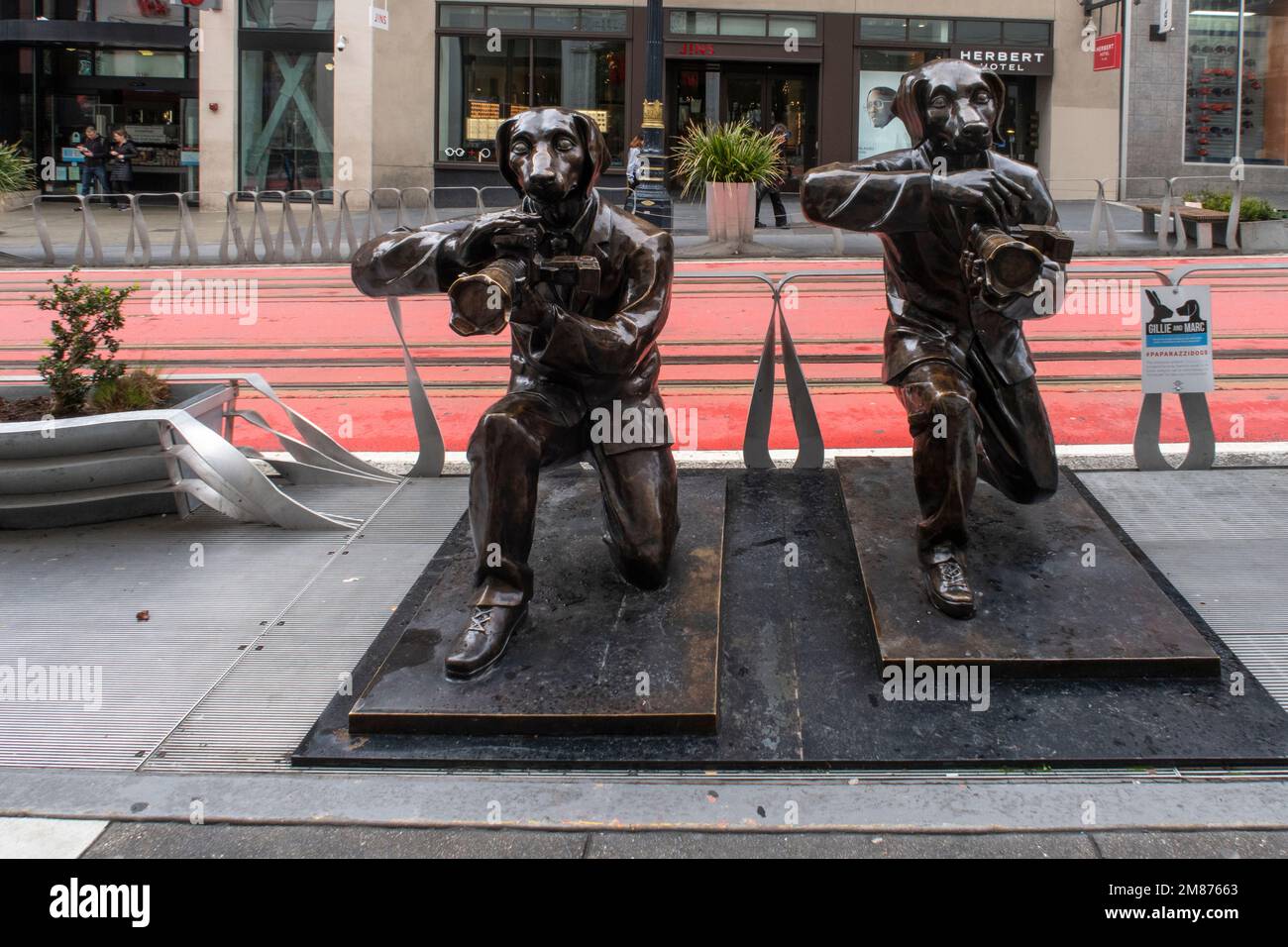 Paparazzidogs hi-res stock photography and images - Alamy