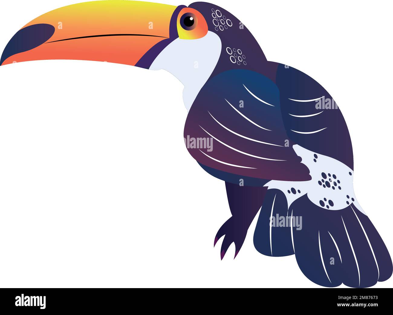 Isolated cute toucan colored sketch Vector Stock Vector Image & Art - Alamy