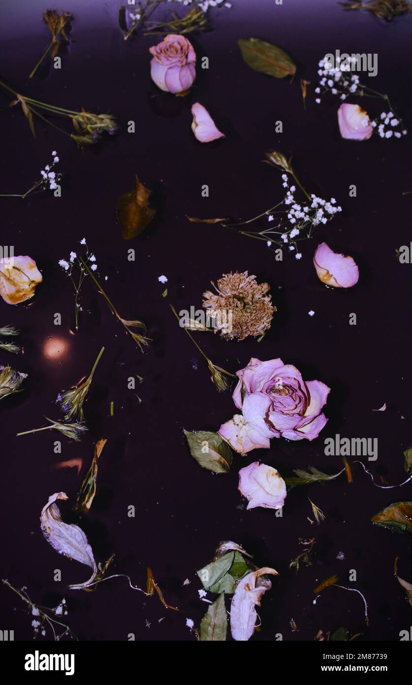 Even after death, there still can be some type of beauty in it. Like ...