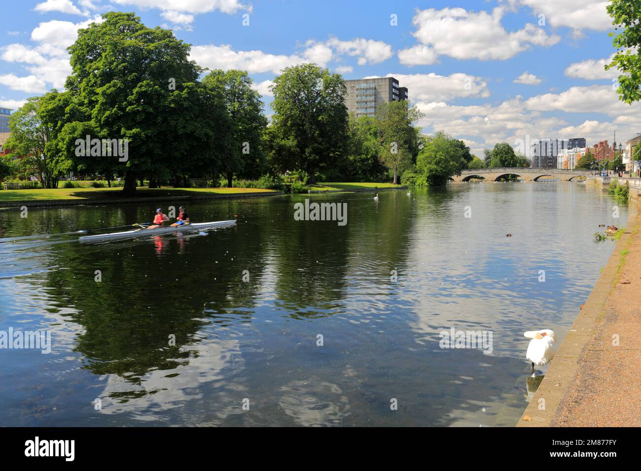 Canoeists along the river Great Ouse embankment, Bedford town ...