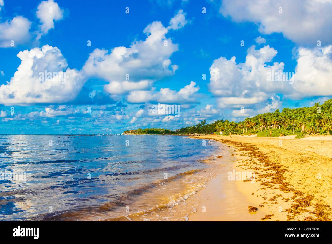 Tropical mexican beach landscape panorama with clear turquoise blue ...