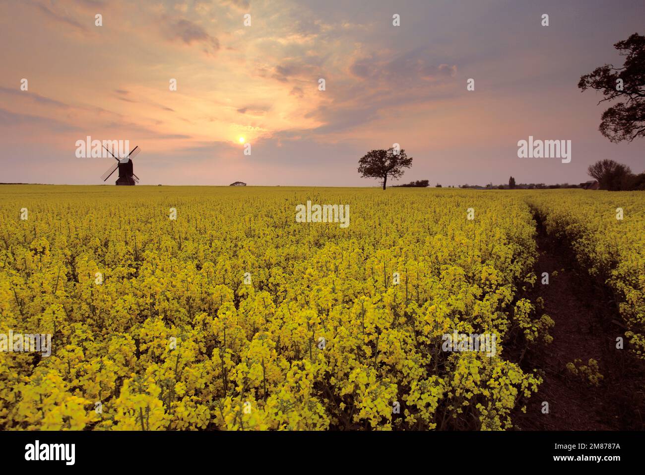 Sunset over Stevington Windmill; Stevington village; Bedfordshire ...