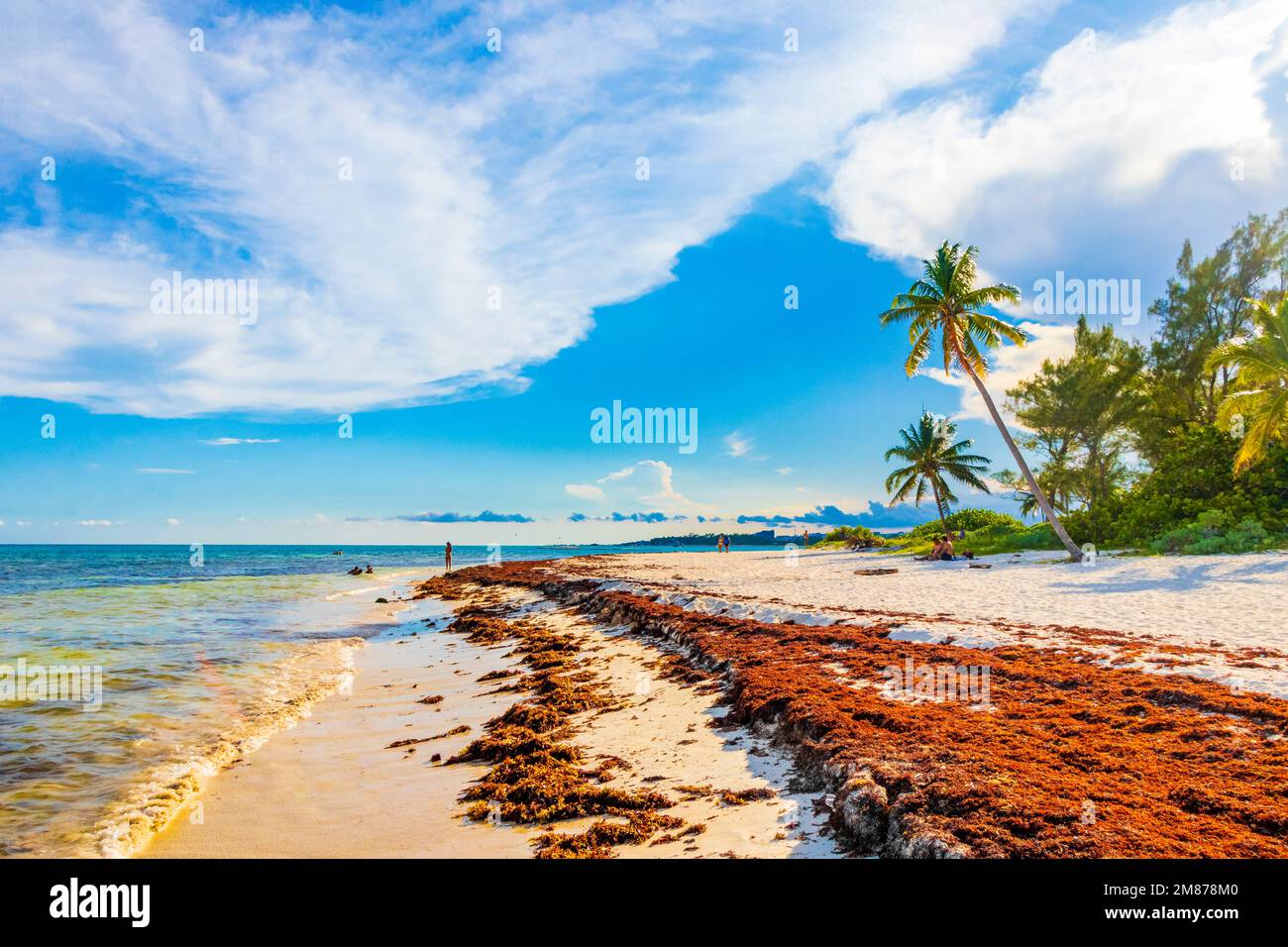 Tropical mexican beach landscape panorama with clear turquoise blue ...