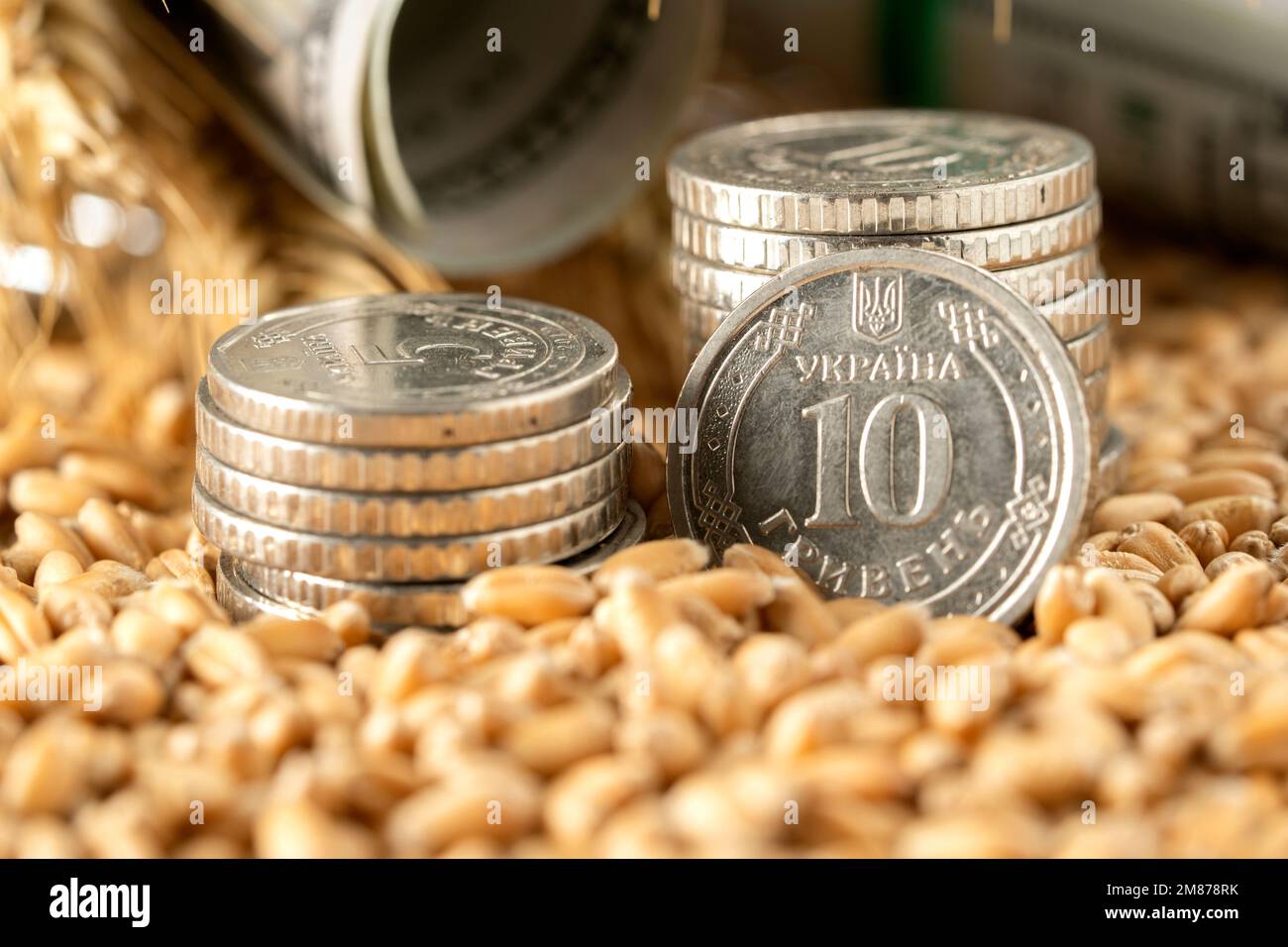 Growth of money in the soil with the concept of financing success in ...