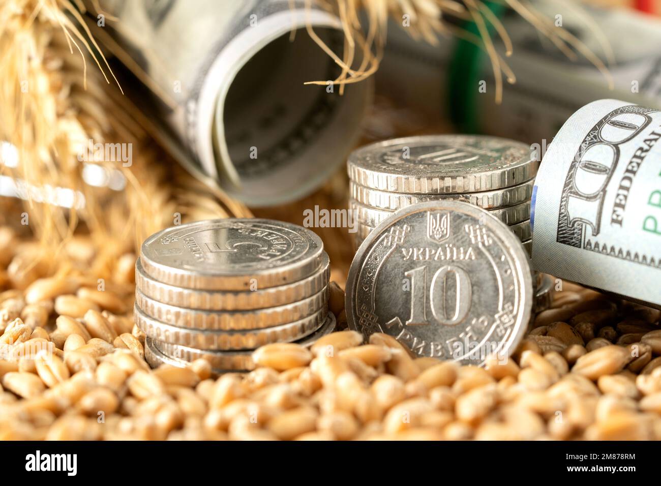 Growth of money in the soil with the concept of financing success in ...