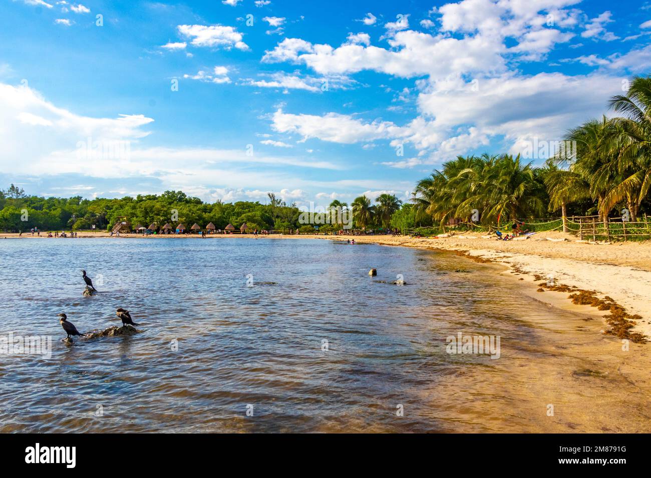 Tropical mexican beach landscape panorama with clear turquoise blue ...