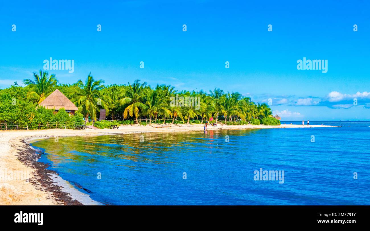 Tropical mexican beach landscape panorama with clear turquoise blue ...