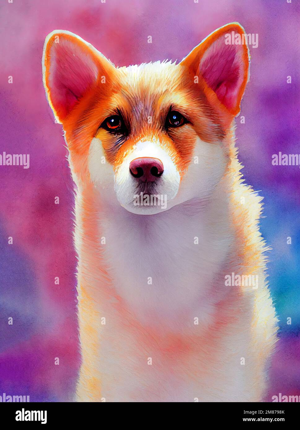 Canaan dog hi-res stock photography and images - Alamy