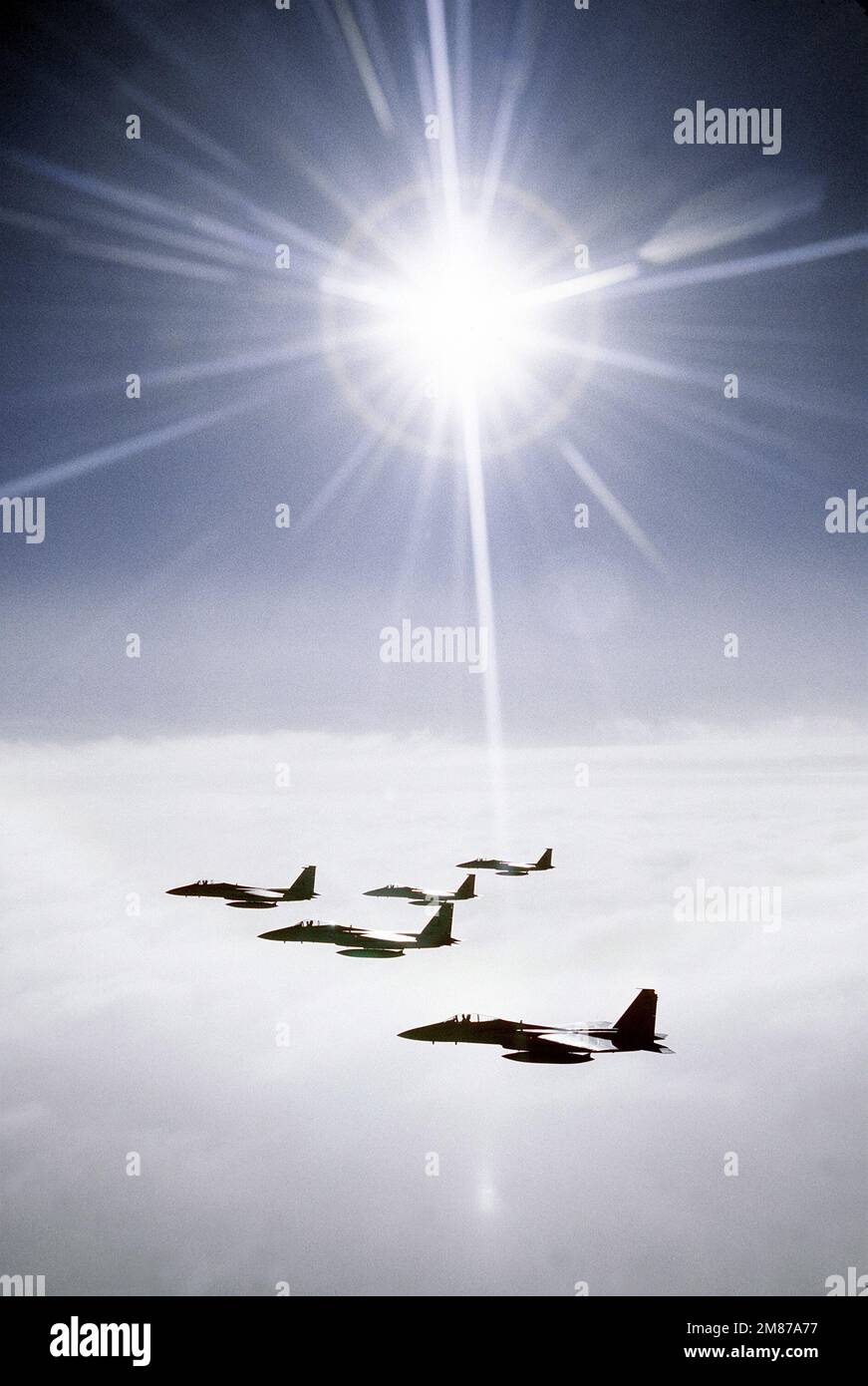 An air-to-air left side view of a flight of five F-15 "Eagles" are back ...