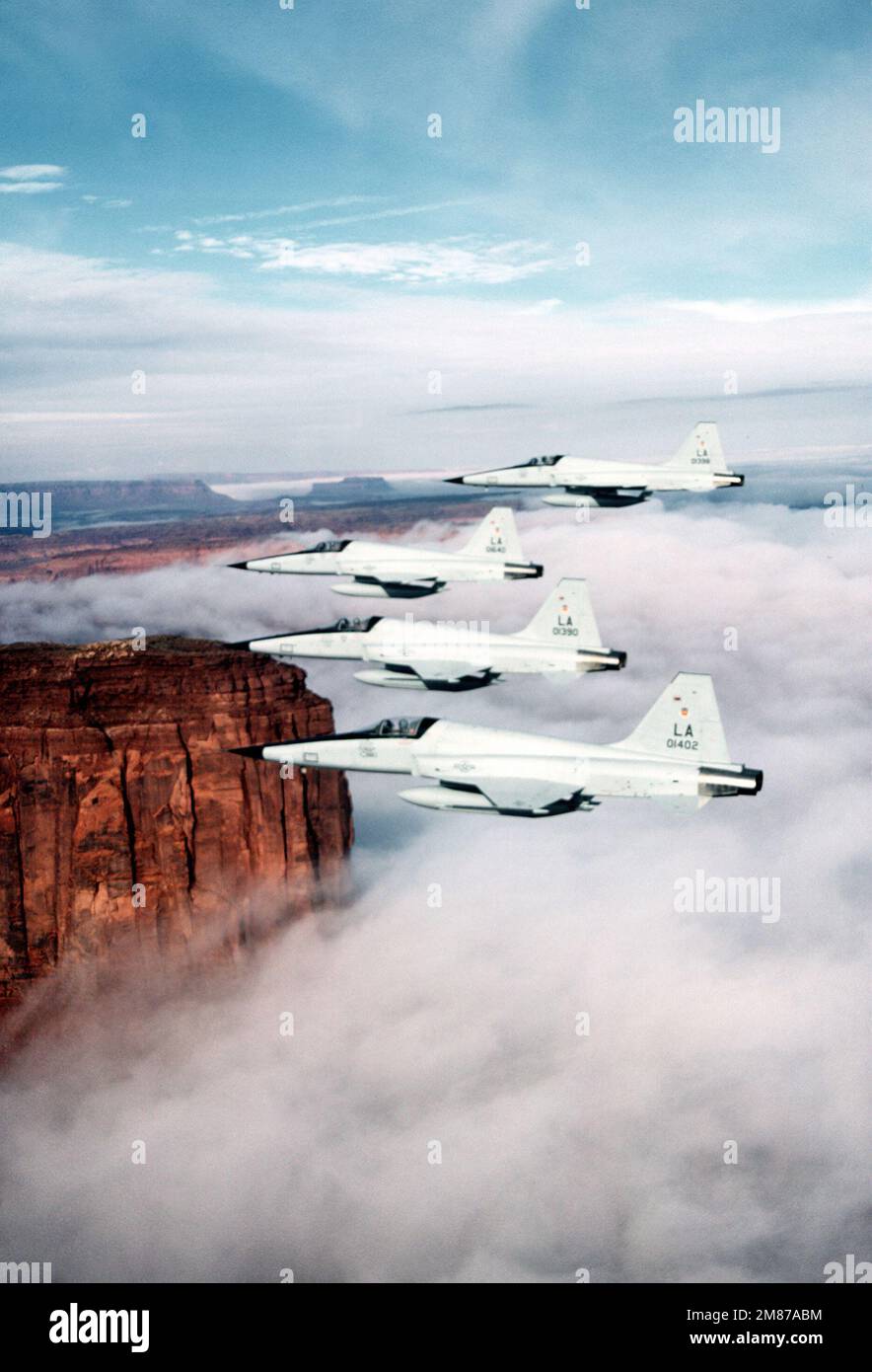 An air-to-air left side view of a flight of four F-5 Talon fighters ...