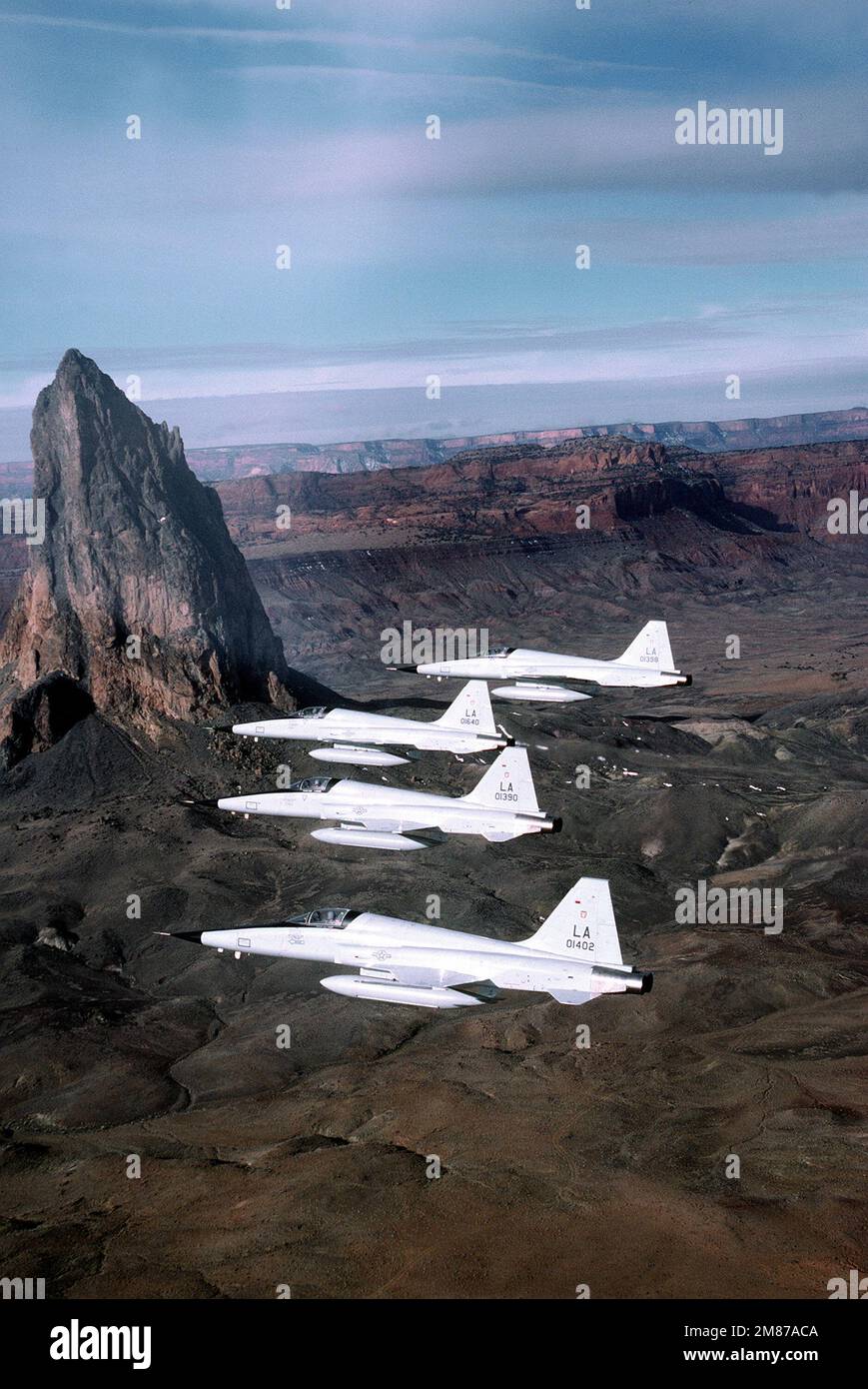 An air-to-air left side view of a flight of four F-5 Talon fighters ...
