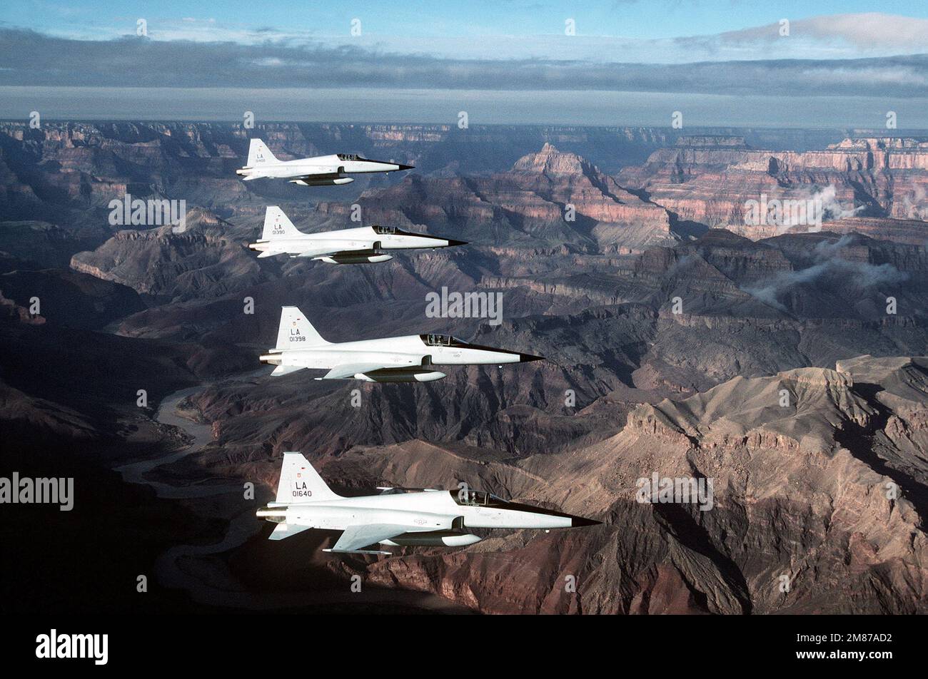 An air-to-air right side view of a flight of four F-5 Talon fighters ...