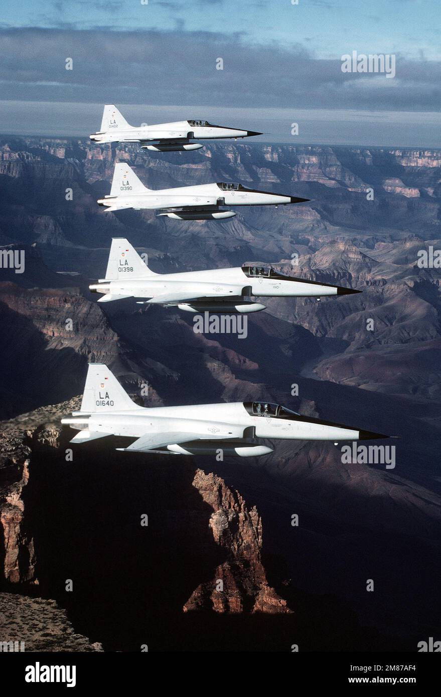 An air-to-air right side view of a flight of four F-5 Talon fighters ...