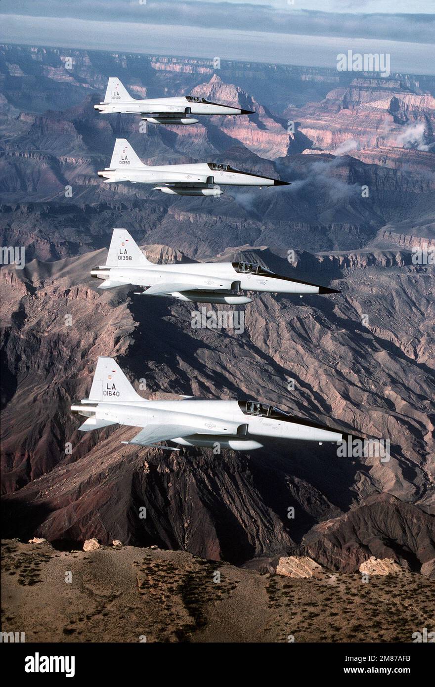 An air-to-air right side view of a flight of four F-5 Talon fighters ...