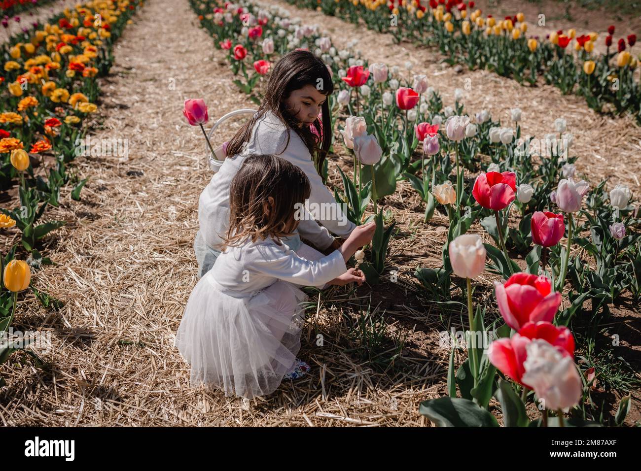 Children two girls flowers hi-res stock photography and images - Alamy