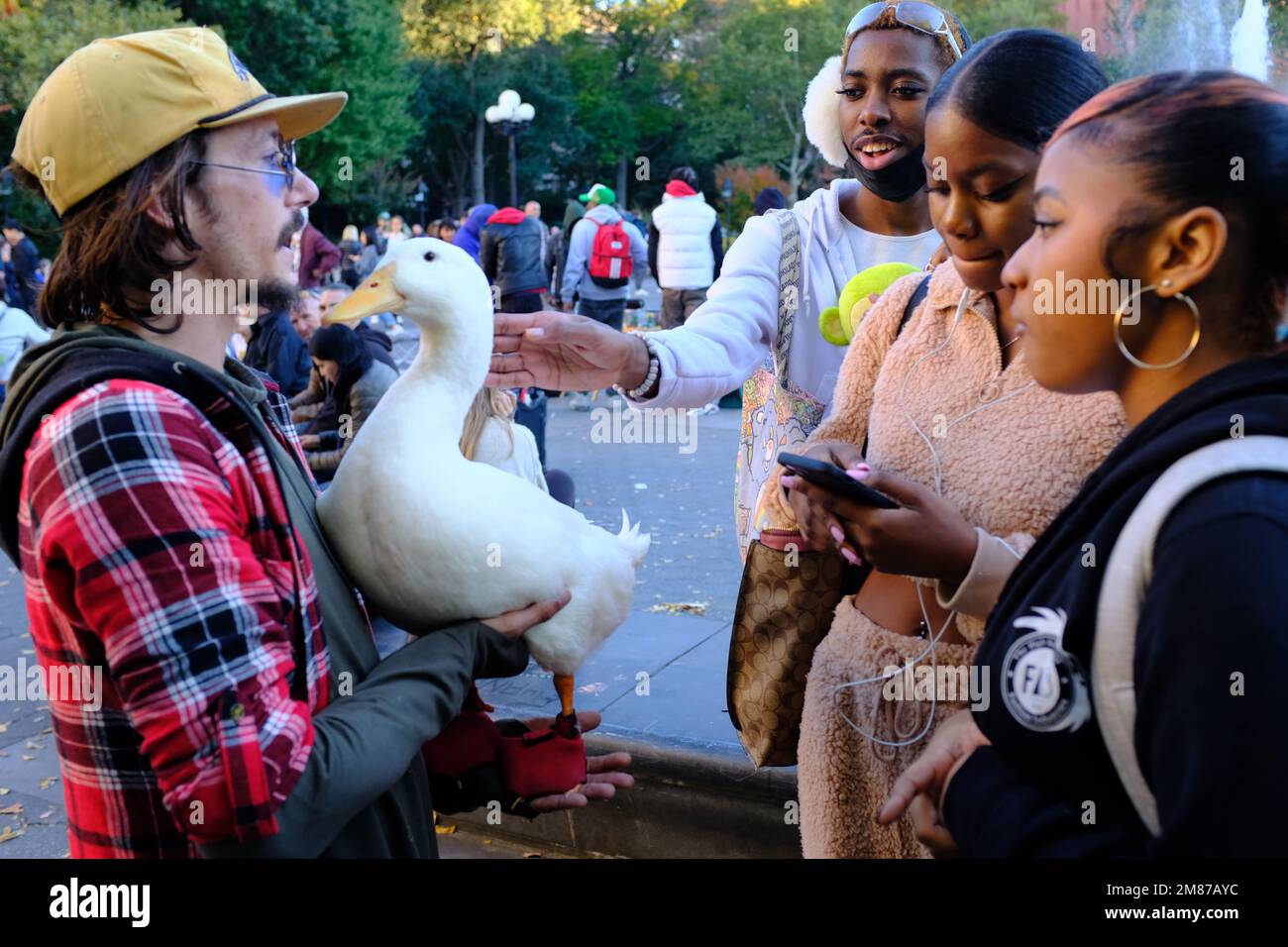 A Caucasian male showing off his pet duck to African-American youths in ...