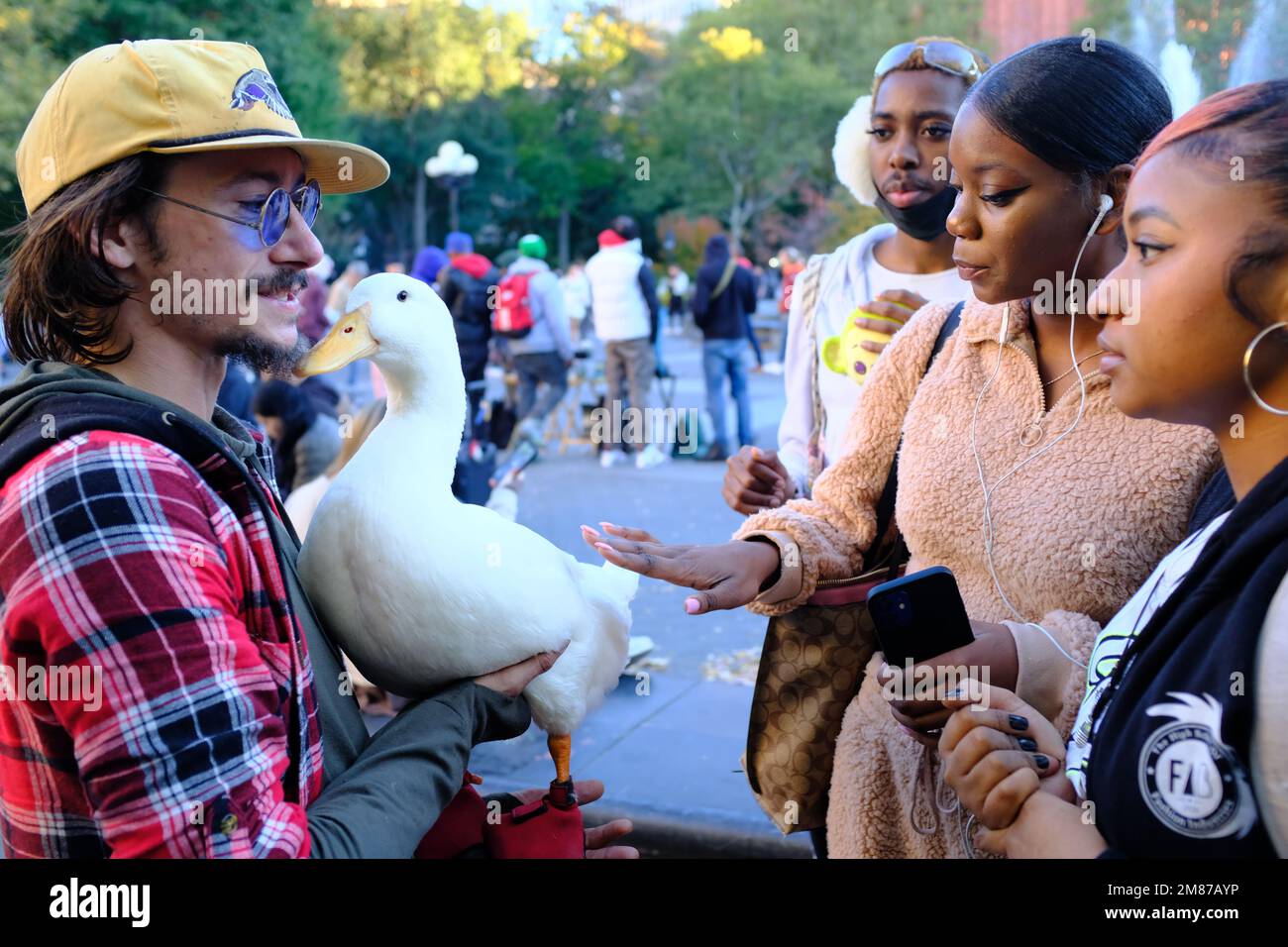 A Caucasian male showing off his pet duck to African-American youths in ...