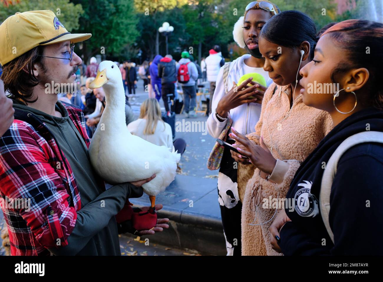 A Caucasian male showing off his pet duck to African-American youths in ...