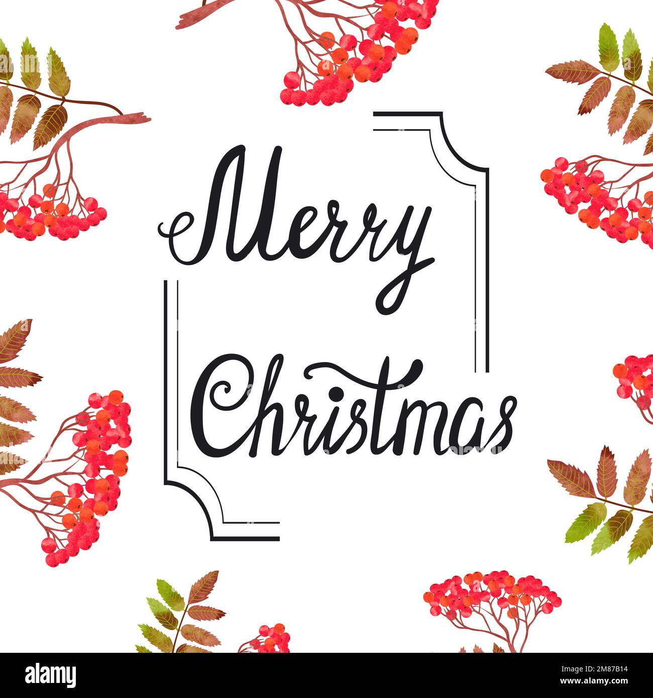 Merry Christmas card design with watercolor rowan branches with berries ...