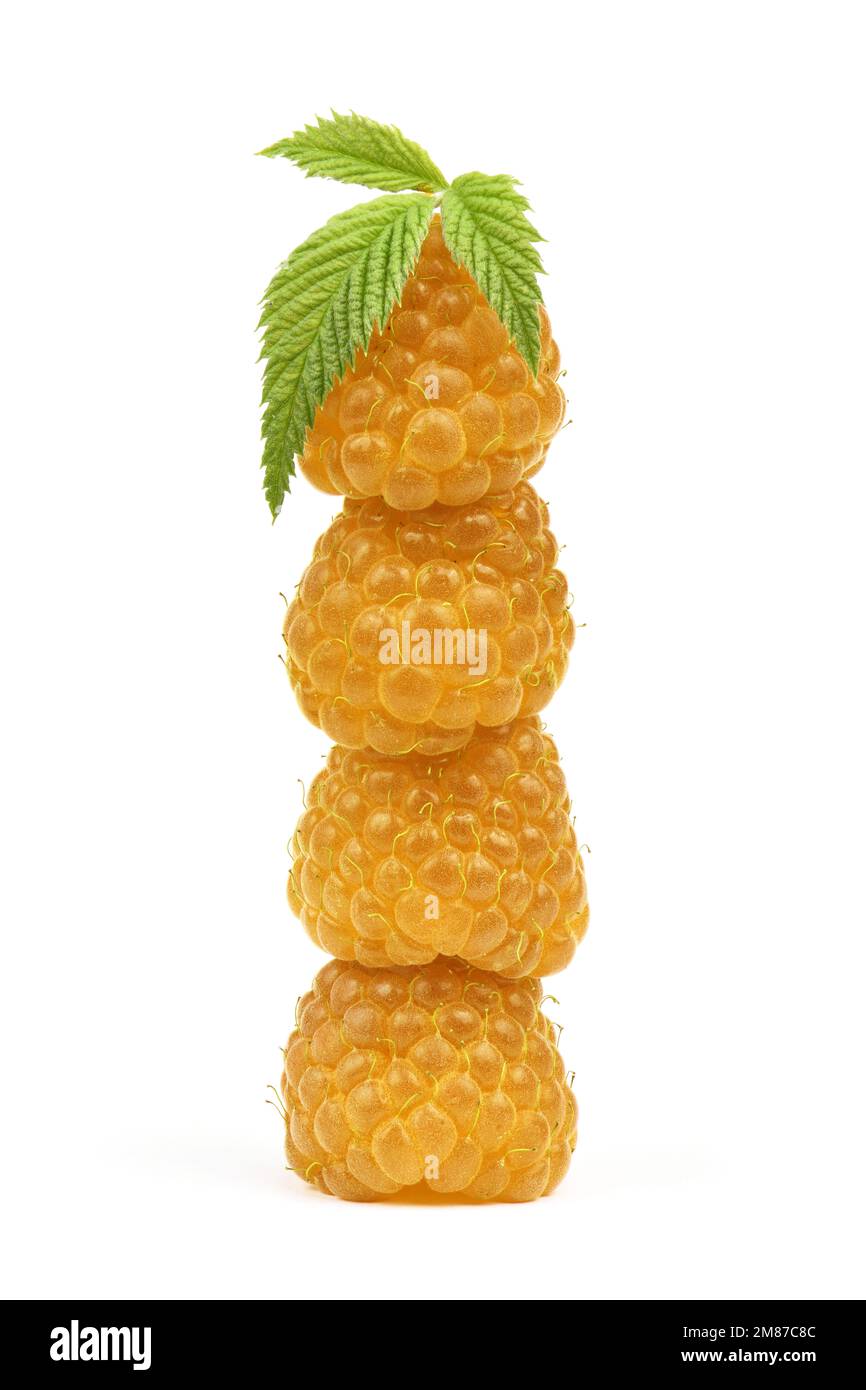 Yellow eating stalk hi-res stock photography and images - Alamy