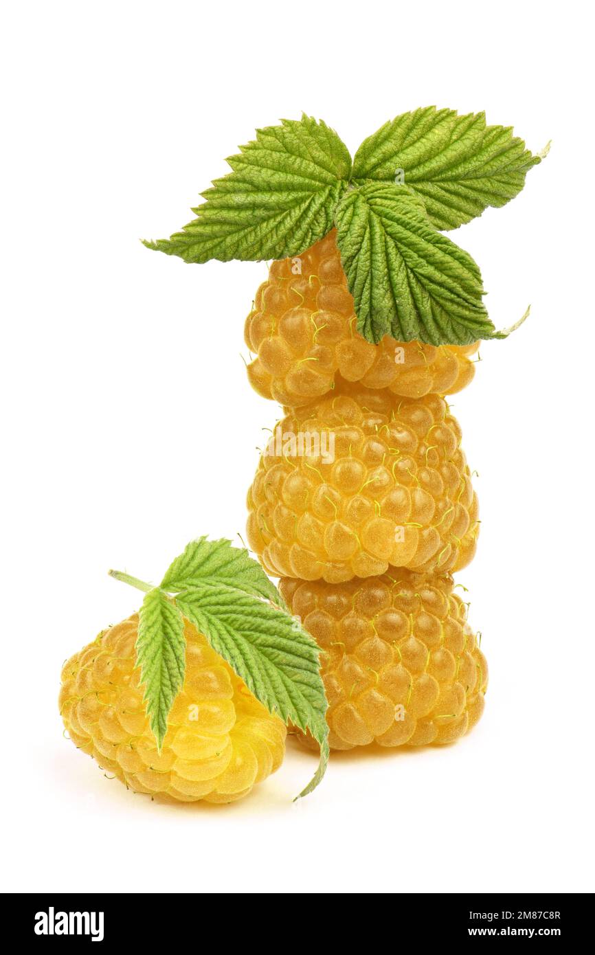 Four Yellow raspberry berries isolated on white background. High ...