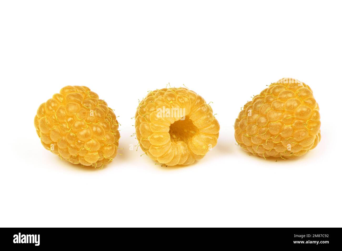 Three yellow raspberry berries isolated on white background. High ...
