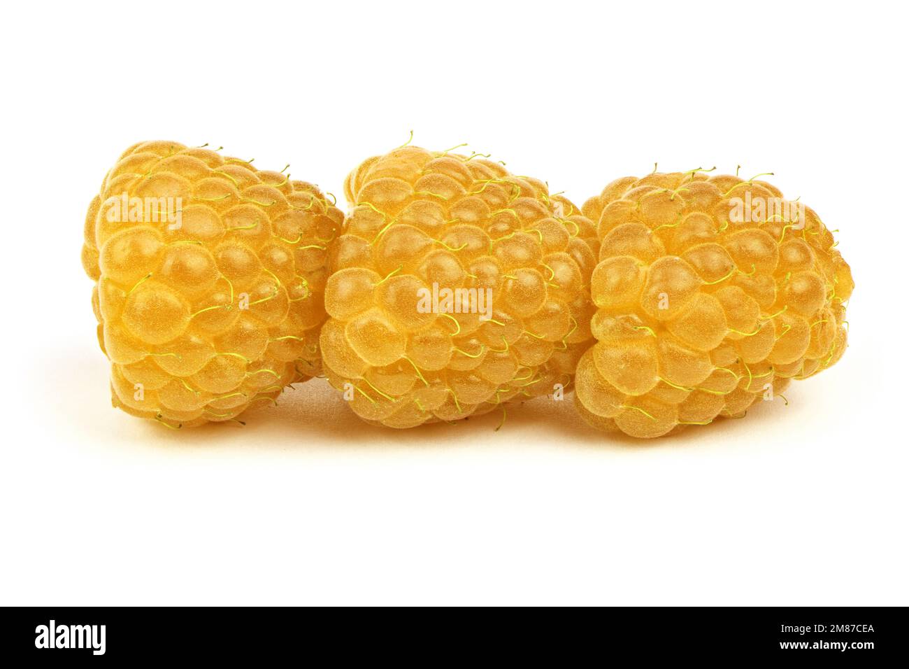 Three yellow raspberry berries isolated on white background. High ...