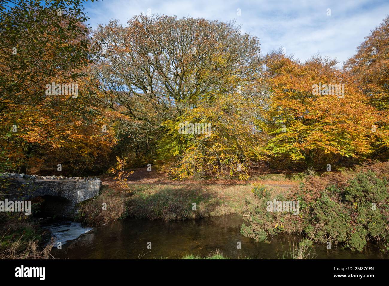 The Weir Water river flowing under Robbers Bridge in Exmoor National ...