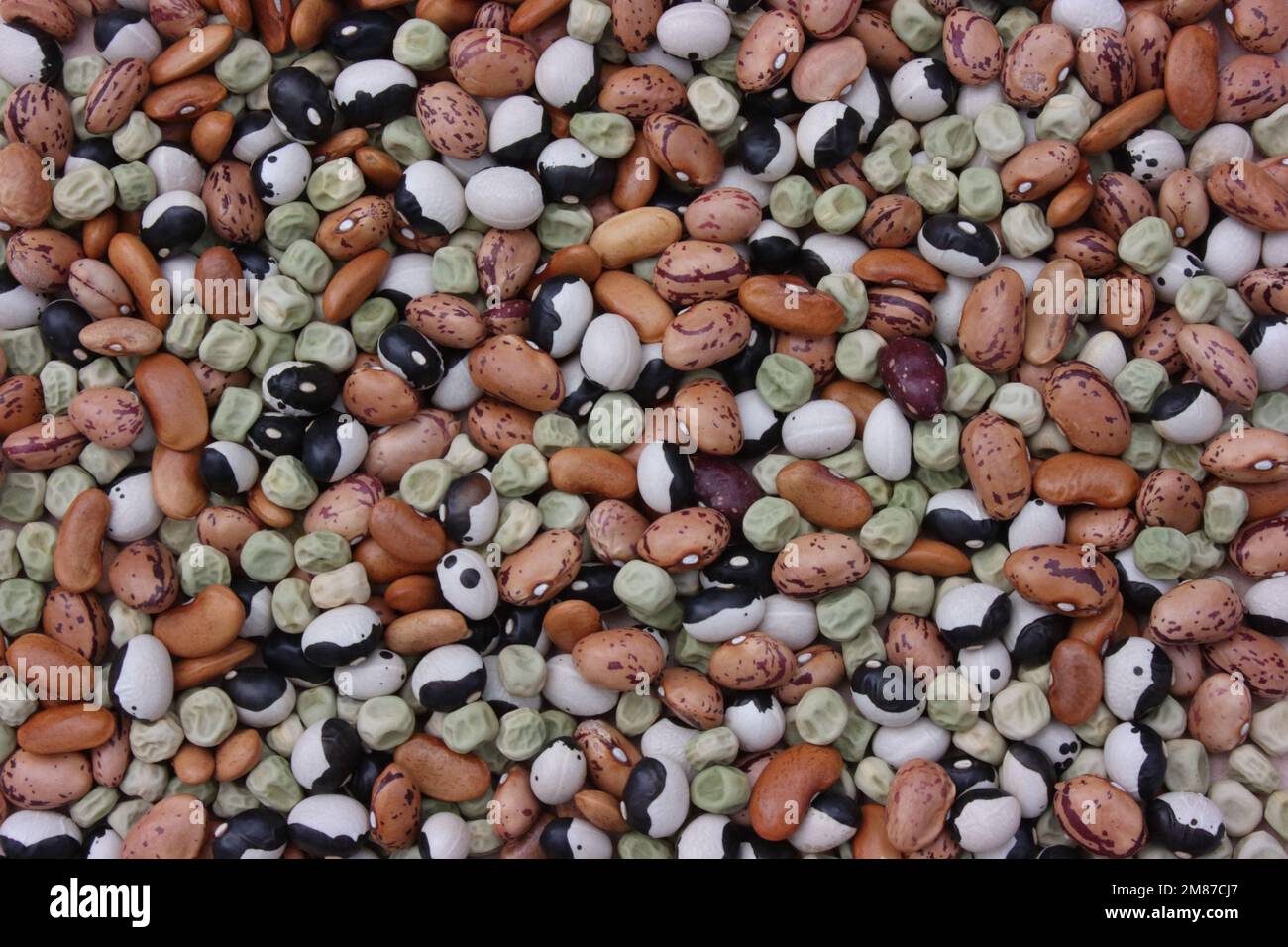 Seeds in various shapes hi-res stock photography and images - Alamy