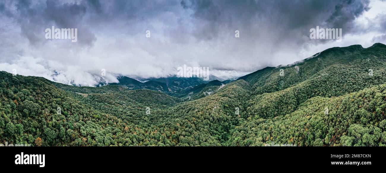 Aerial panoramic view of the Mata Atlantica preserved in Caparao ...