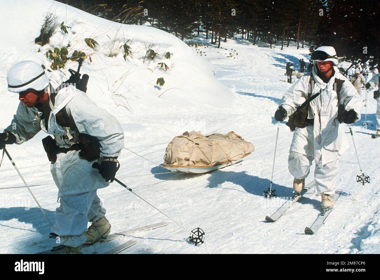 Members of the 3rd Bn., 22nd Inf., 25th Inf. Div., practice skiing ...