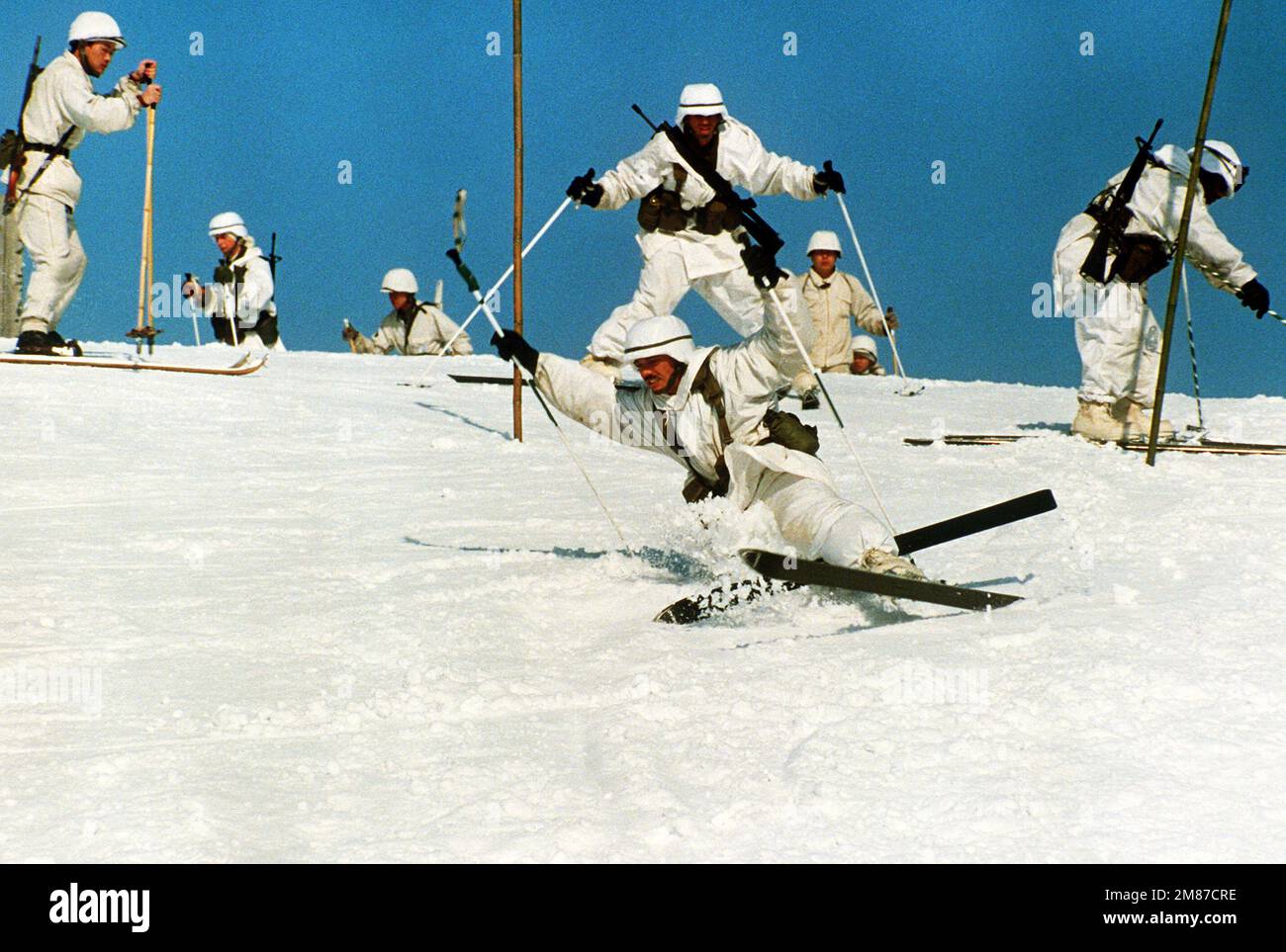 Members of the 3rd Bn., 22nd Inf., 25th Inf. Div., learn to ski down a ...