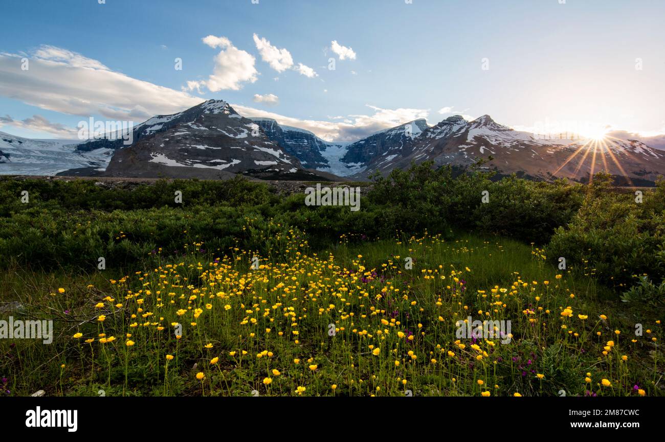 Sunset at Columbia Icefield Stock Photo - Alamy