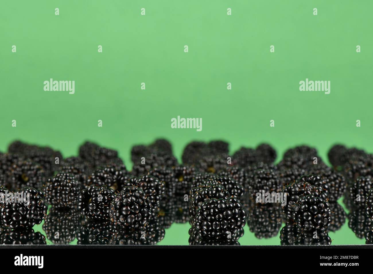 Blackberry fruit on light green mirror. Side view. Selective focus ...