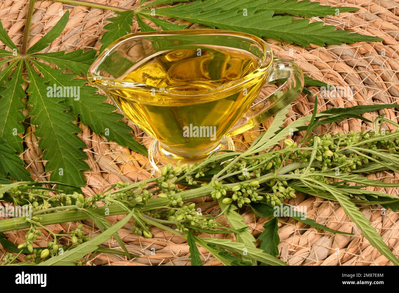 Bowl with hemp oil, leaves on abstract herbal background, side view ...
